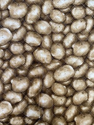 POTATOES Harvest Quilted Fabric For Sewing, Home Decor, Crafts 58” X 42 ...