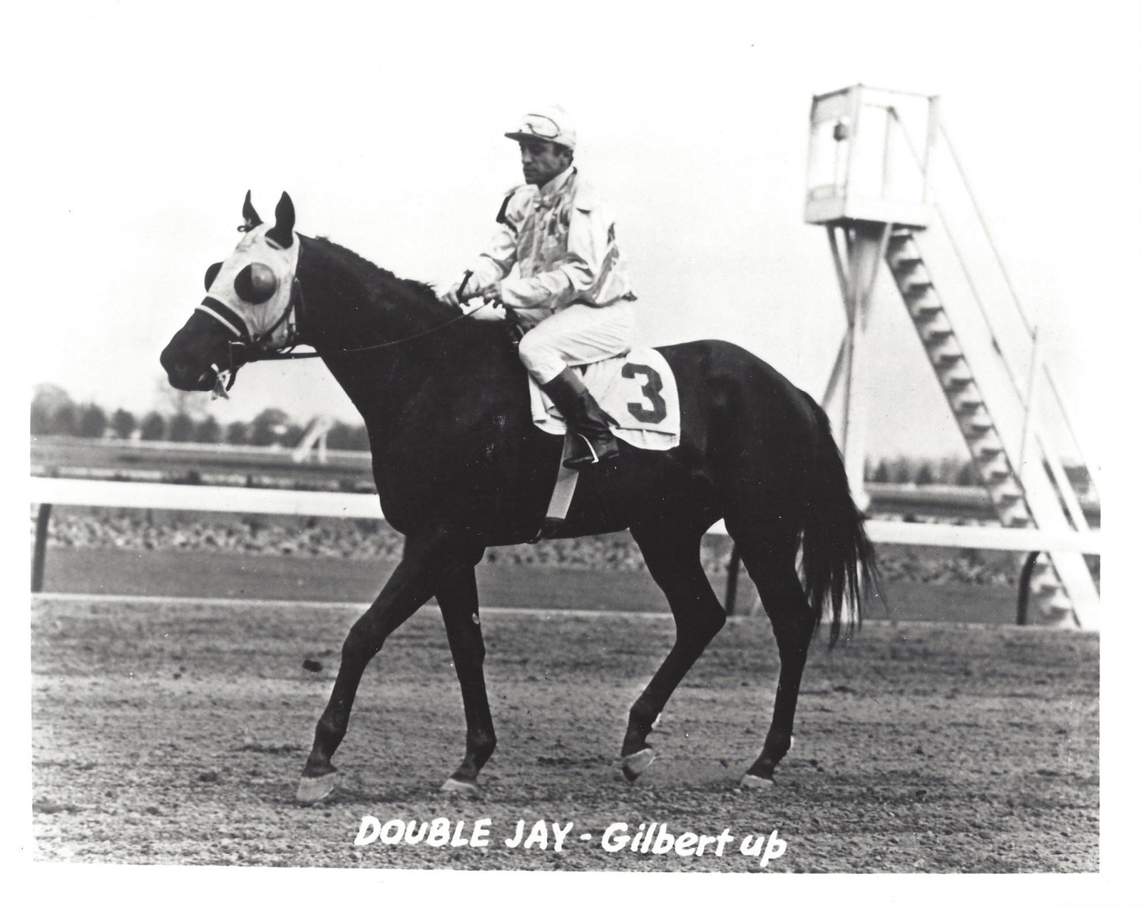 DOUBLE JAY 8X10 PHOTO HORSE RACING PICTURE JOCKEY JOHN GILBERT | eBay
