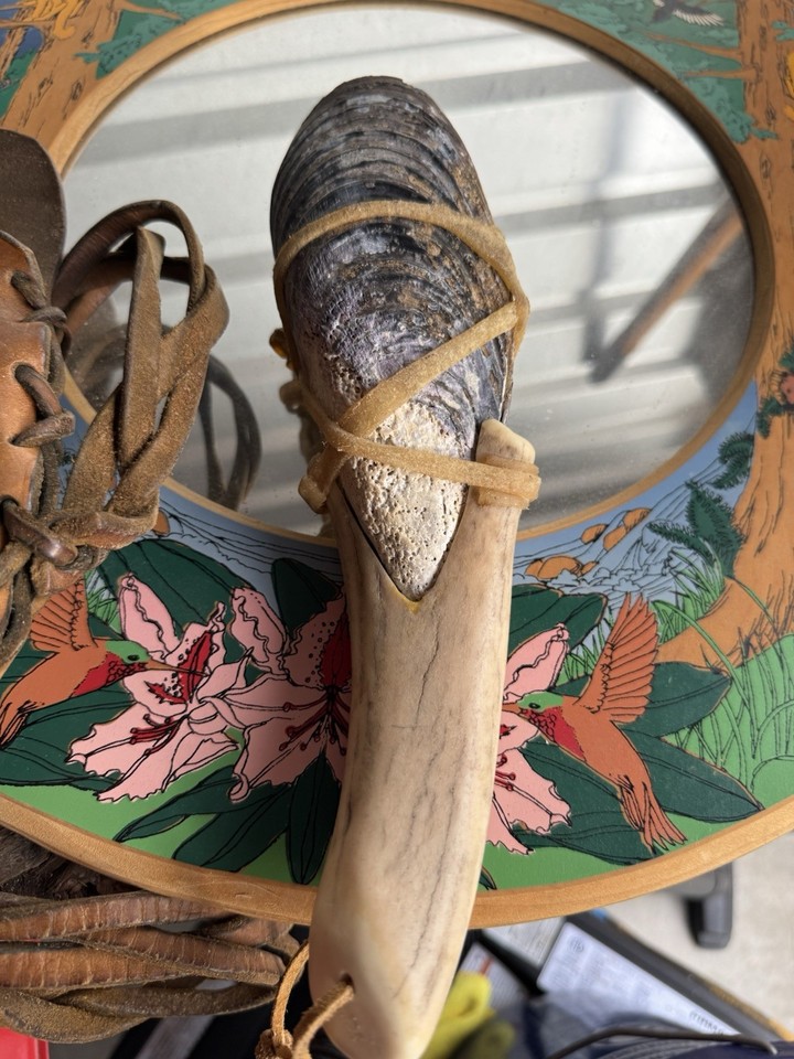 VINTAGE GENUINE NORTHWEST COAST SALISH SHAMAN RATTLE! RAZORCLAM ...