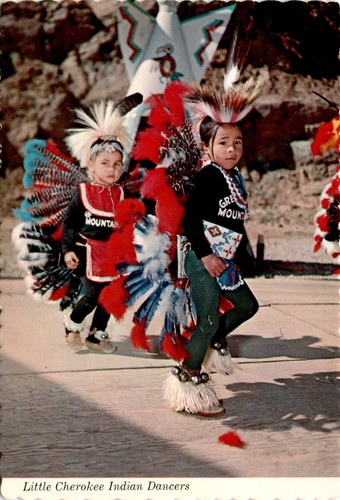 Cherokee Indian Reservation, North Carolina, Little Cherokee Indian ...