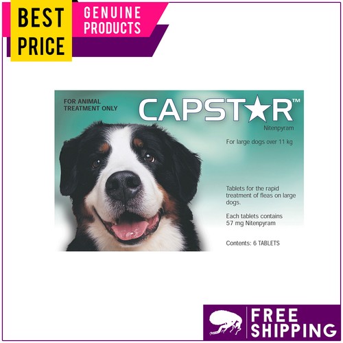 Capstar for Large Dogs Over 11 Kg Green Pack 6 Doses Flea Prevention | eBay