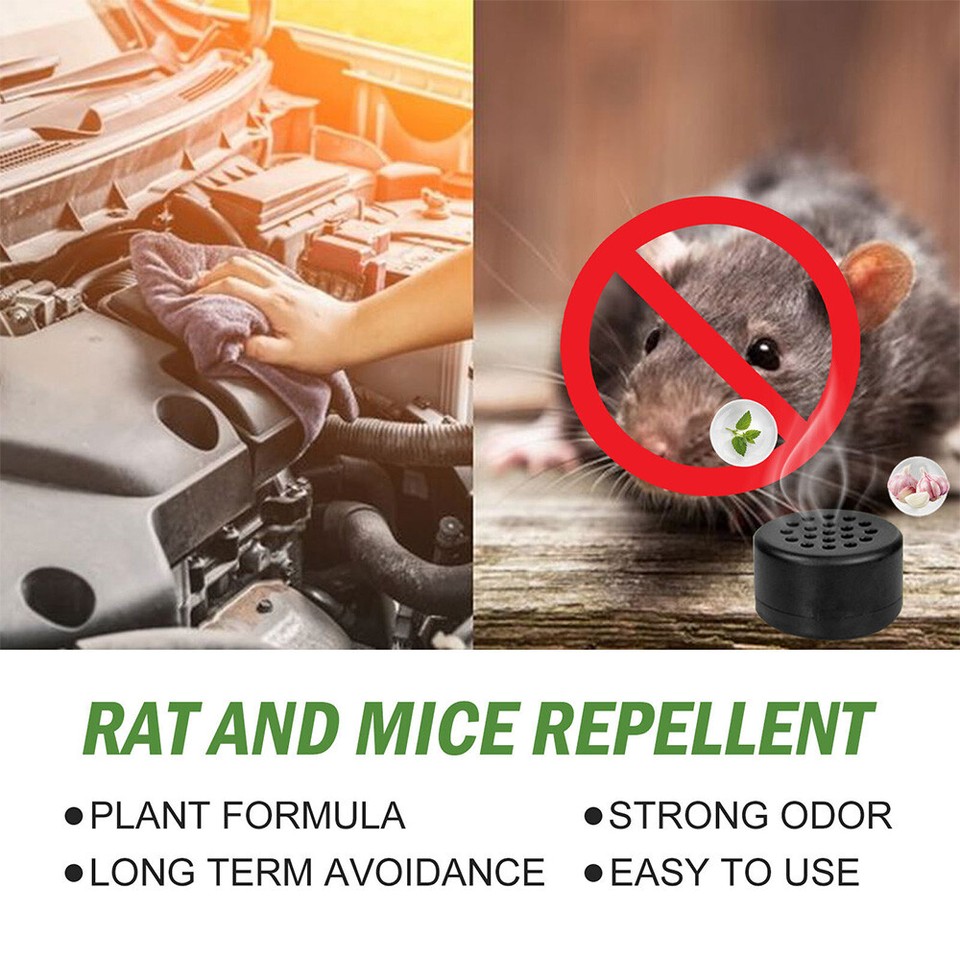 Natural Peppermint Oil Mouse Rodent Rat Repellent Pill 20 pack Mouse ...