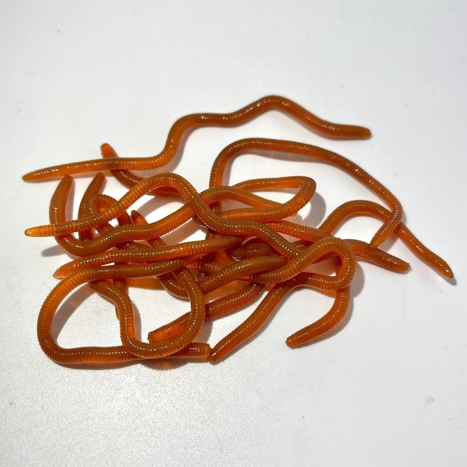 FLAVOURED / SCENTED HYPER REALISTIC JELLY FLOATING WORMS 85mm LRF ...