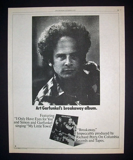 Art Garfunkel Hair