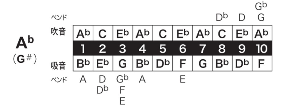 TOMBO Major Boy AB Harmonica, 10-Hole, Durable Resin Body, Professional ...