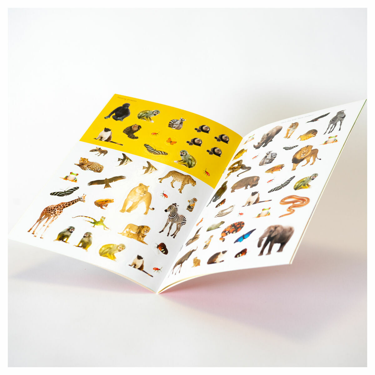 Amazing World In The Wild Sticker Book - Children's activity for kids ...