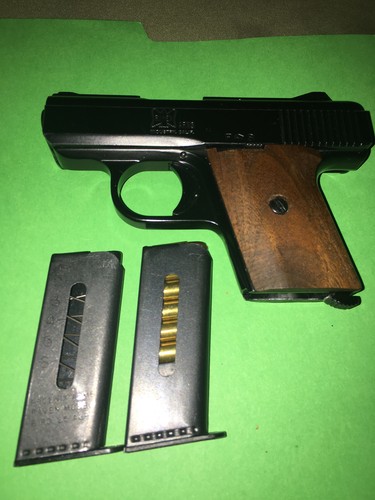 25 Gun Extended Clip