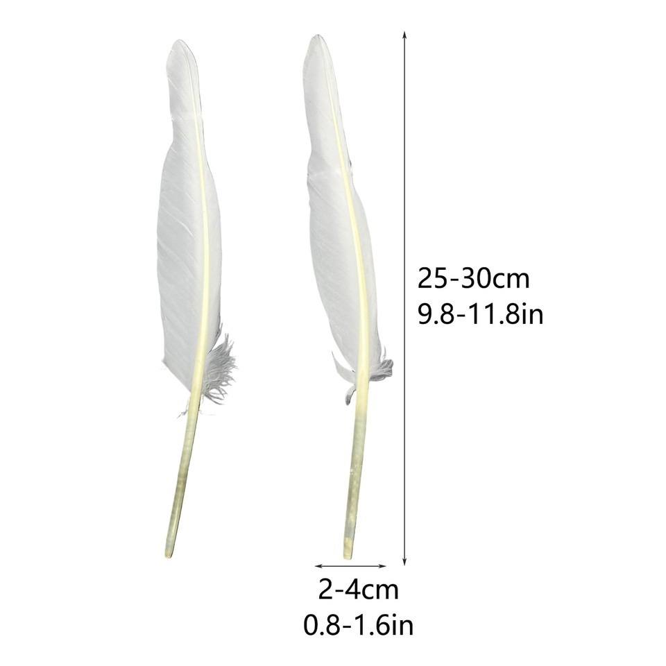 25 PCS Long White Goose Feathers 10-12" for Wedding & Home DIY Projects ...