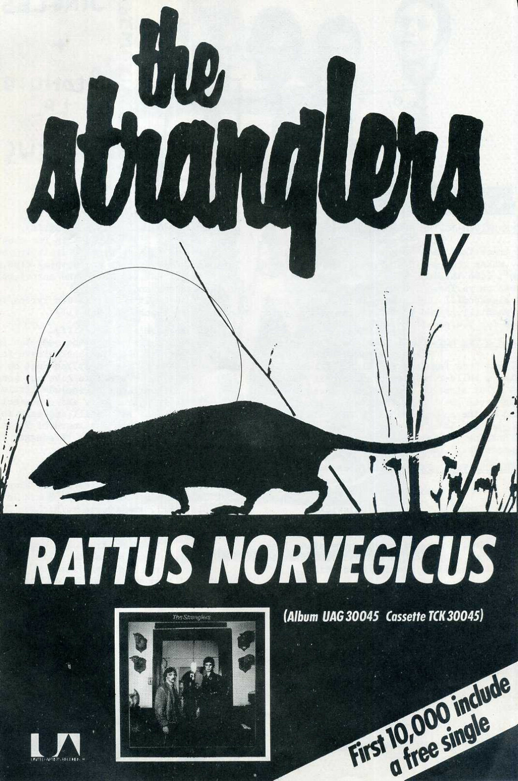 THE STRANGLERS - 'Rattus Norvegicus' LP Album Window Poster - Punk ...