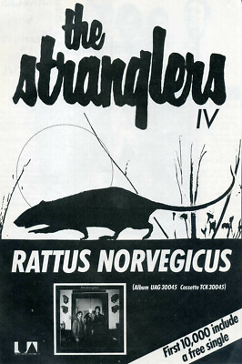 THE STRANGLERS - 'Rattus Norvegicus' LP Album Window Poster - Punk ...