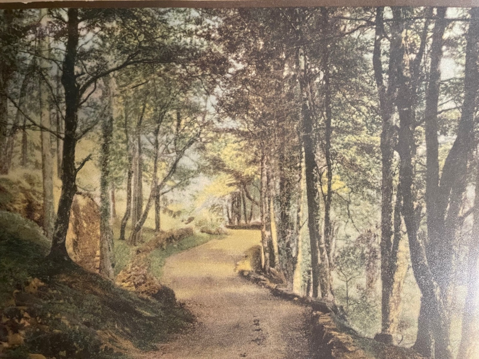 Wallace Nutting " Among the Birches " Vintage Hand-Tinted Print | eBay