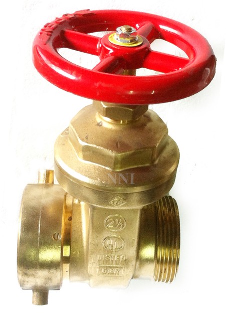 Giacomini Hydrant Gate Valve 2-1/2" Female Swivel X Male BCT British ...