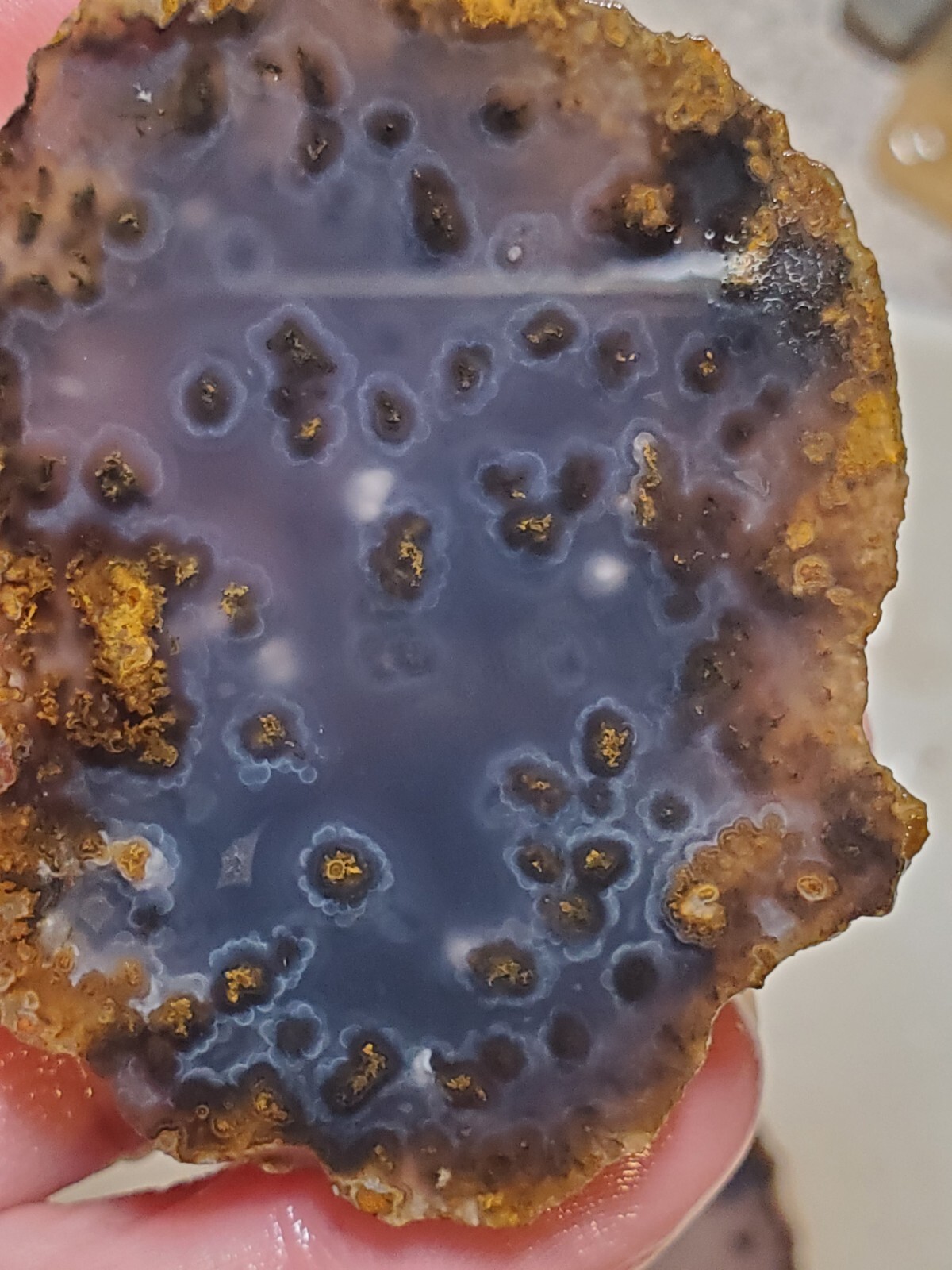 2 Woodward Ranch Pom-Pom Tube Plume Agate Rough Alpine Texas 92g | eBay