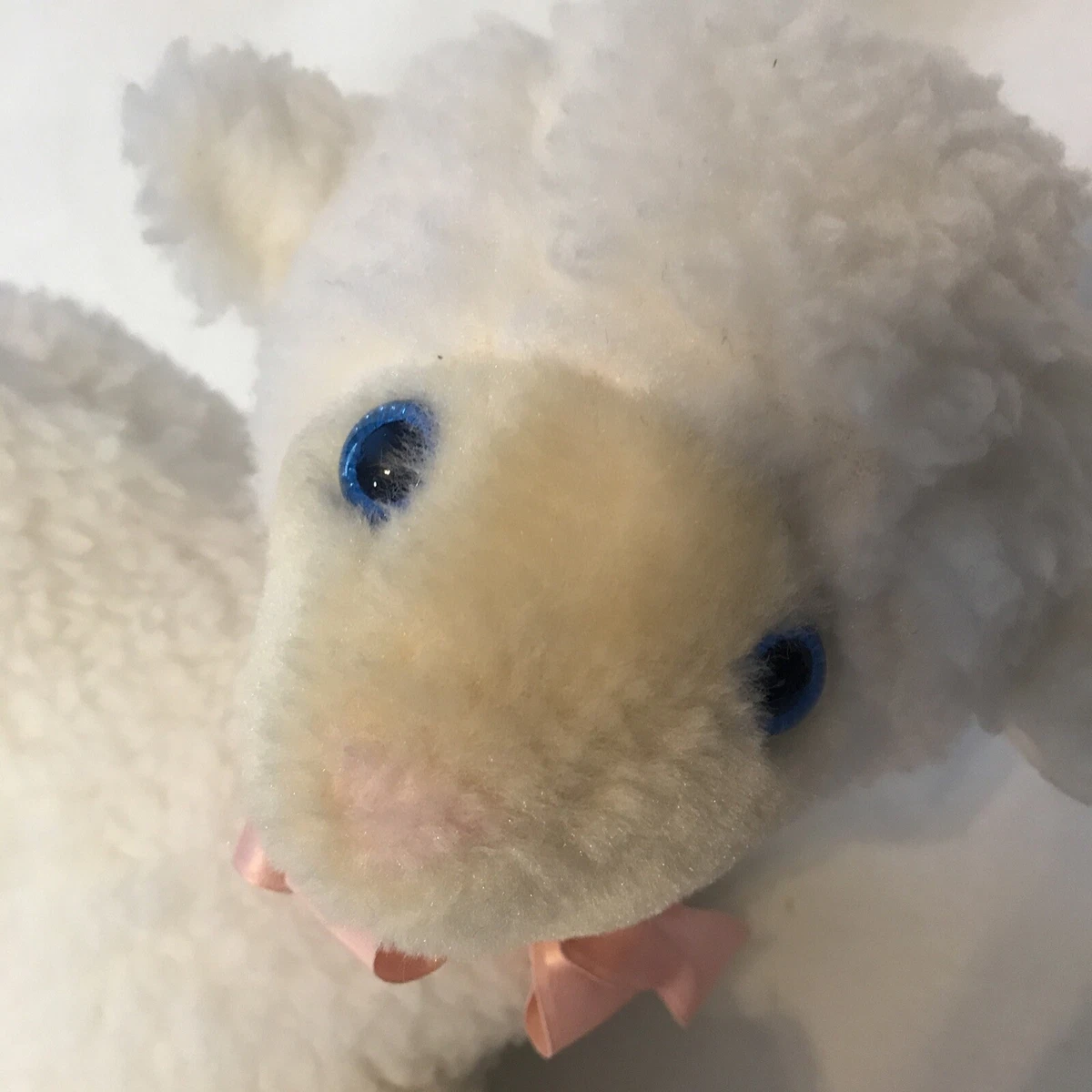 Beautiful Sheep Baby