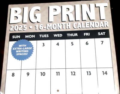 2025 BIG PRINT Wall Calendar 20" X 11" Extra Large Writing Spaces LOWER ...