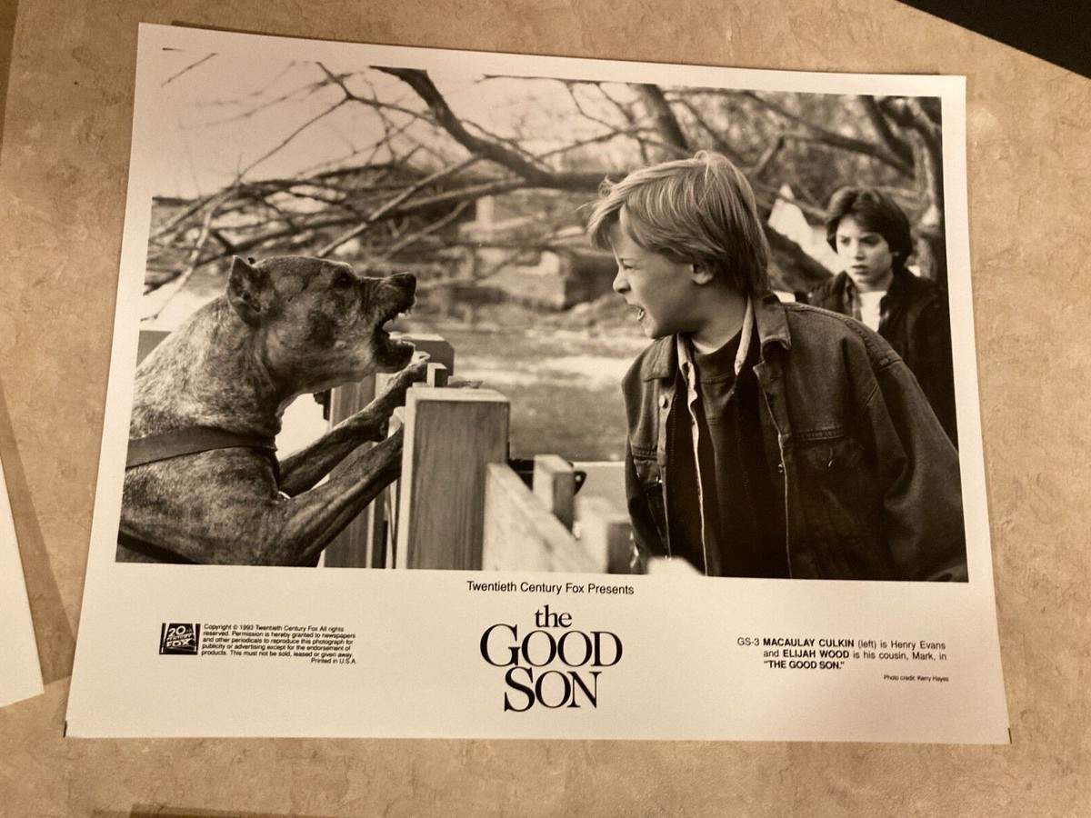 Elijah Wood And Macaulay Culkin 20 Years Later