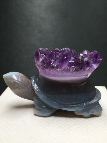 WOW Natural Amethyst Druse Geode Agate Quartz Crystal Tortoise Turtle ...