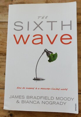 The Sixth Wave: How to Succeed in a Resource-Limited World 2010 | eBay UK