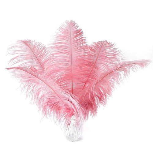 Pink Long Ostrich Feathers - 12Pcs 14-16inch Large Feathers for ...