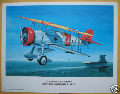 CURTISS GOSHAWK F11C Aviation Military WW1 Print 11X14 | eBay