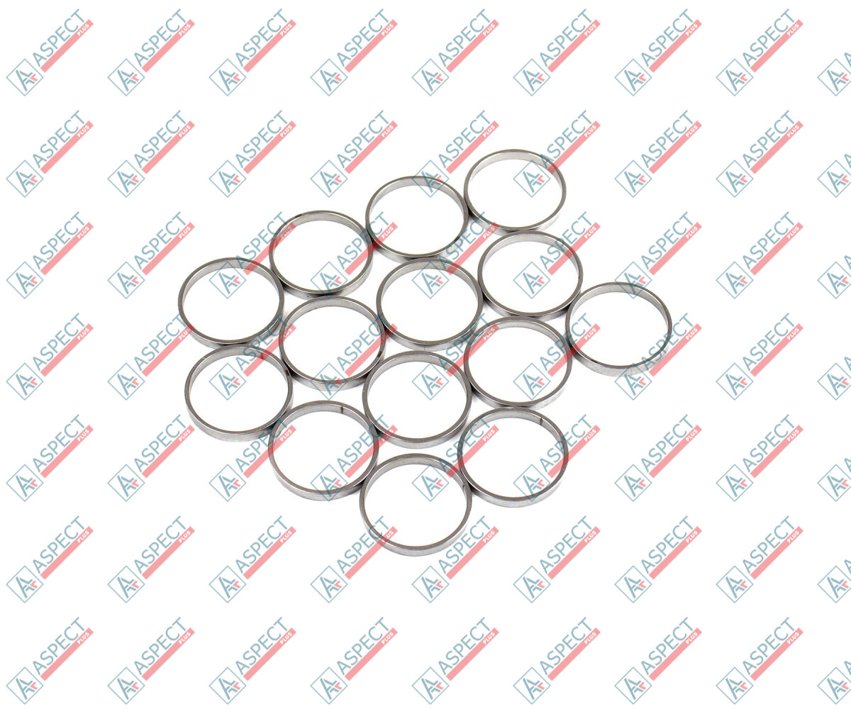 Bosch Rexroth A2FO125, A2FM125 Piston Ring R909831892 Set of 7 pc | eBay