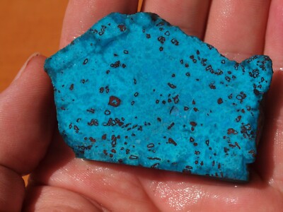 Huge Bisbee Arizona Old Stock Bright Blue Turquoise Slab from the ...