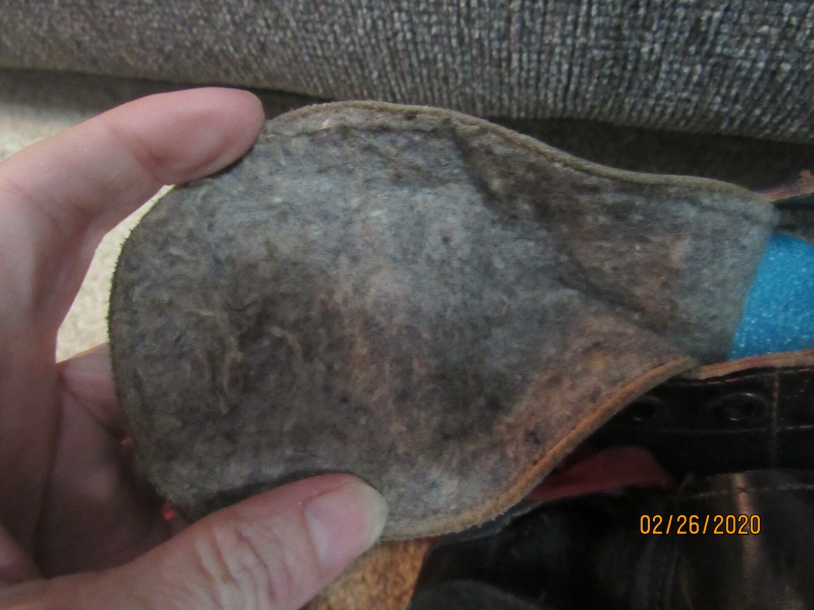 PLANERT Winner Bauer VTG Leather Ice Skates Canada Collectible Mens ...