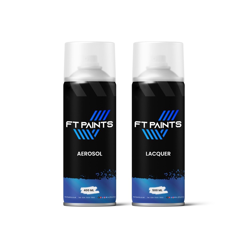 Car Paint By Registration Number Plate Aerosol Spray 400ml Chip Damage ...