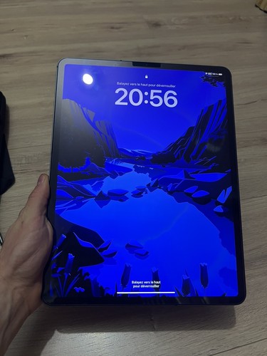 iPad PRO 12,9" 3eme GEN (2018) 64Go Apple A1876 IPS LCD WIFI GRIS ...