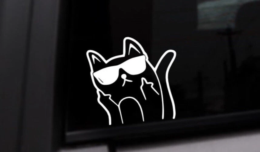 Grumpy Cat Middle Finger