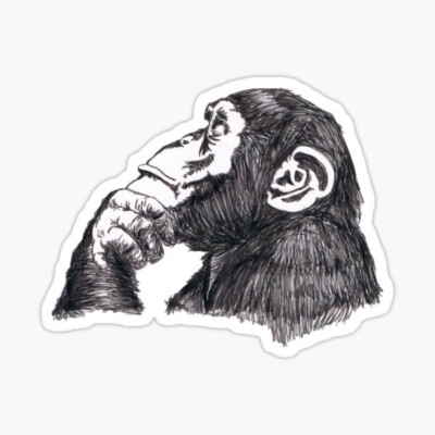 Thinking Monkey Ape Thinker Ideas Hand drawn Pencil Vinyl Decal Sticker ...