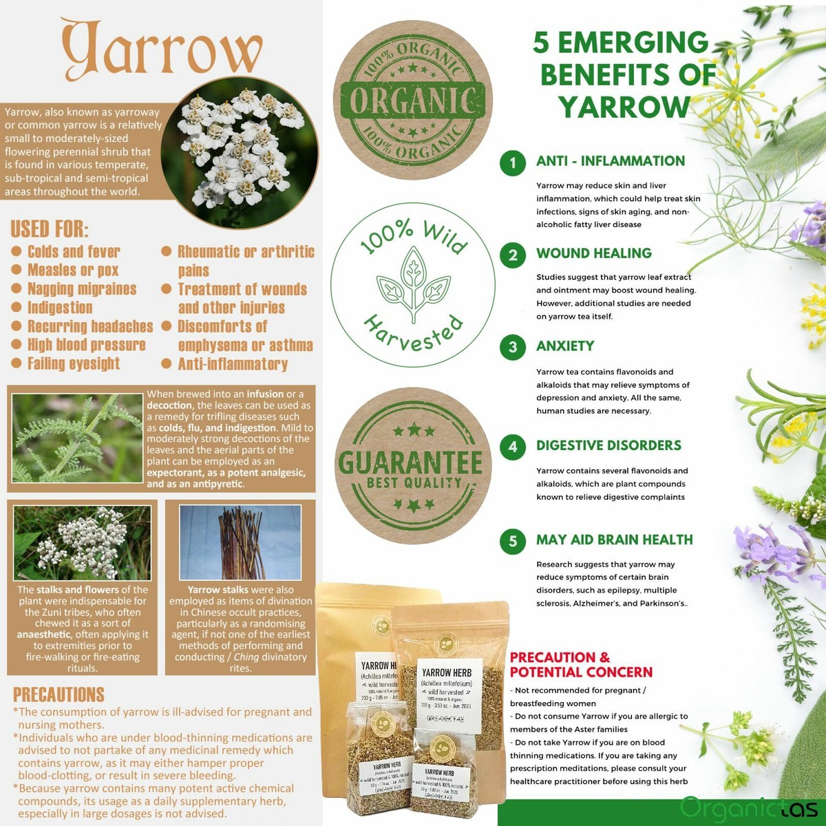 Yarrow Herb Uses Health Benefits And Side Effects YARROW Herbal
