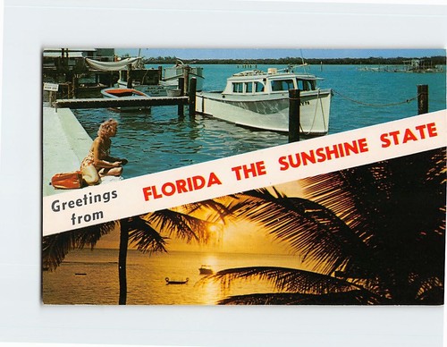 Postcard Greetings from Florida The Sunshine State, Florida | eBay