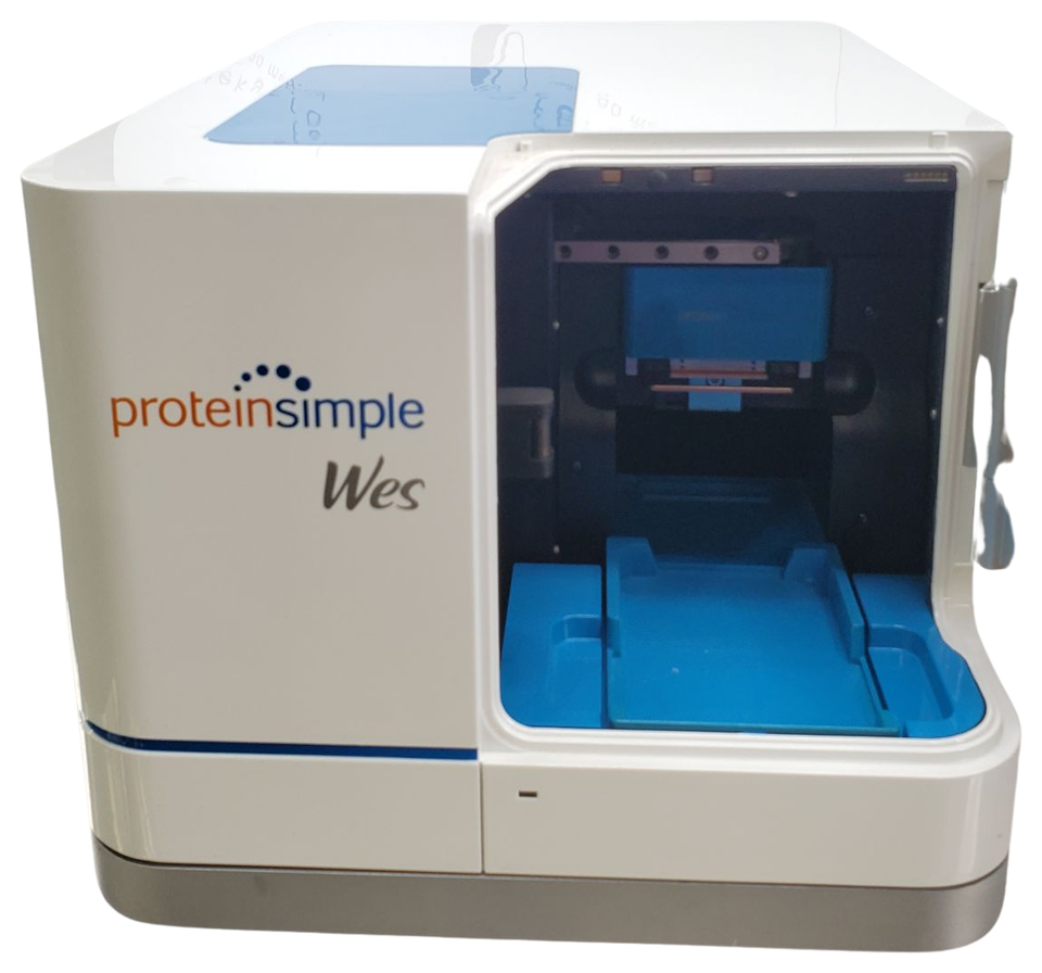PROTEINSIMPLE WES PROTEIN ANALYZER | eBay