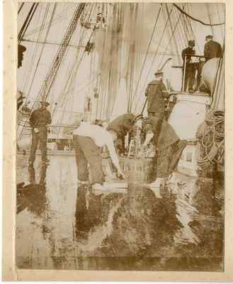 "La Meurthe", commandant Richard Foy et le naufrage du Tamaris Vintage ...