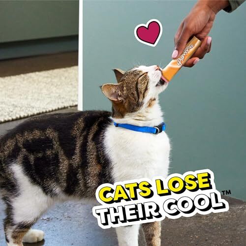 Creamy Puree Squeezable Lickable Wet Cat Treat with Cheese, 0.42 oz ...