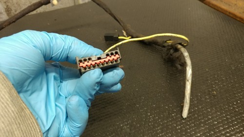 94-04 FORD MUSTANG MACH 460 STEREO REAR AMP AMPLIFIER WIRING HARNESS ...