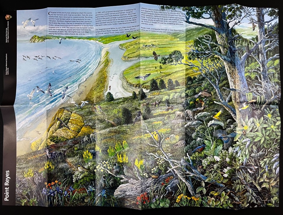 2017 Point Reyes National Seashore California NPS Official Guide ...