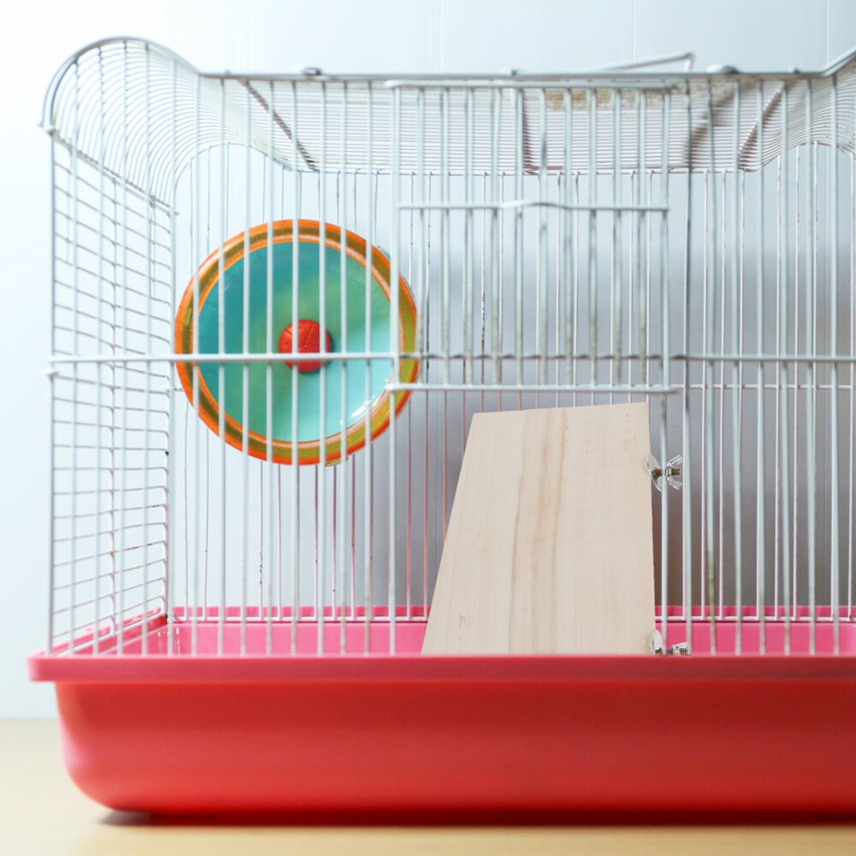 Firm Hamster Platform Hamster Cage Toy Decorate Play Hamsters | eBay UK