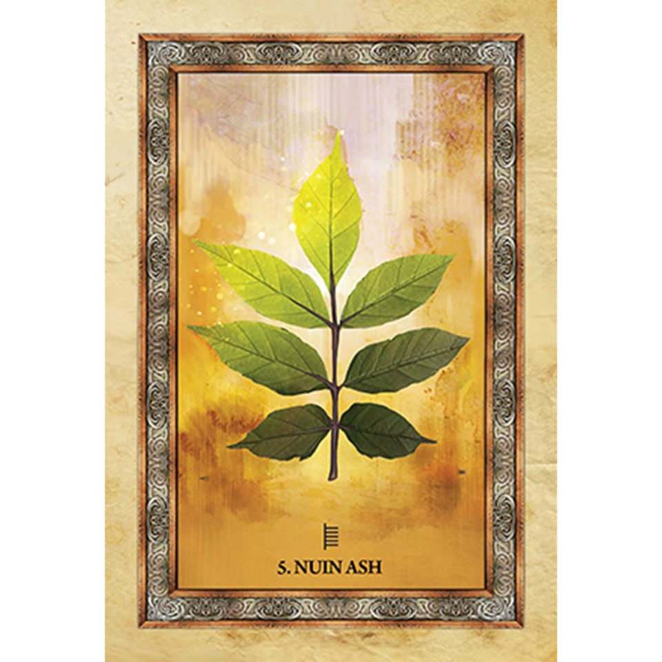 Celtic Tree Oracle NEW IN BOX Deck and Book Set Ogham Cards by US Games ...