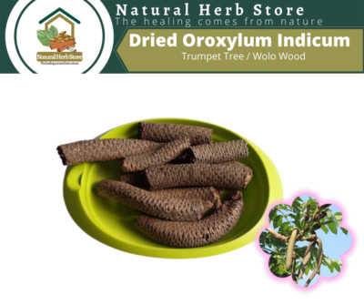 Dried Oroxylum Indicum / Trumpet Tree Wolo Wood Dry Organic Herbs ...