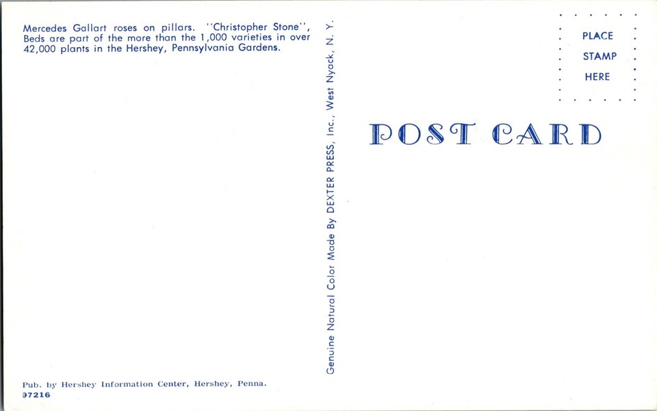 Postcard Mercedes Gallart Roses Christopher Stone Hershey, Pennsylvania ...