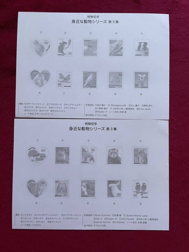 Familiar Animals Leaflets Set of 3, Educational Printouts, Unused, 2016 ...