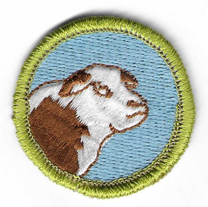 Bsa Badge Worksheets Scouting Journey From Cub Scout To BSA Rank ⚜