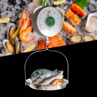 Scales - Seafood Scale