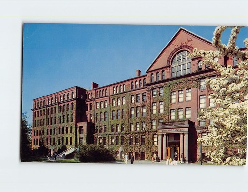 Postcard Harvard University Museum Harvard Cambridge Massachusetts USA ...