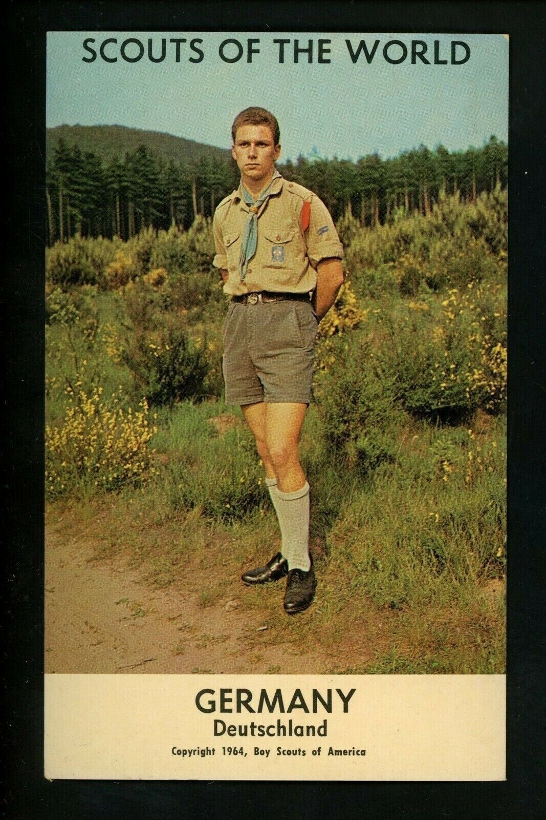 Scouting postcard Boy Scouts of the World 1964 Germany | eBay