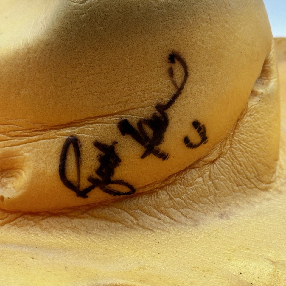 Brett Favre Signed Green Bay Packers Cheesehead Cowboy Hat 1990s ...