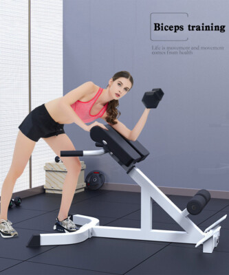 Adjustable Roman Chair Back Extension Exercise Bench Back Training ...