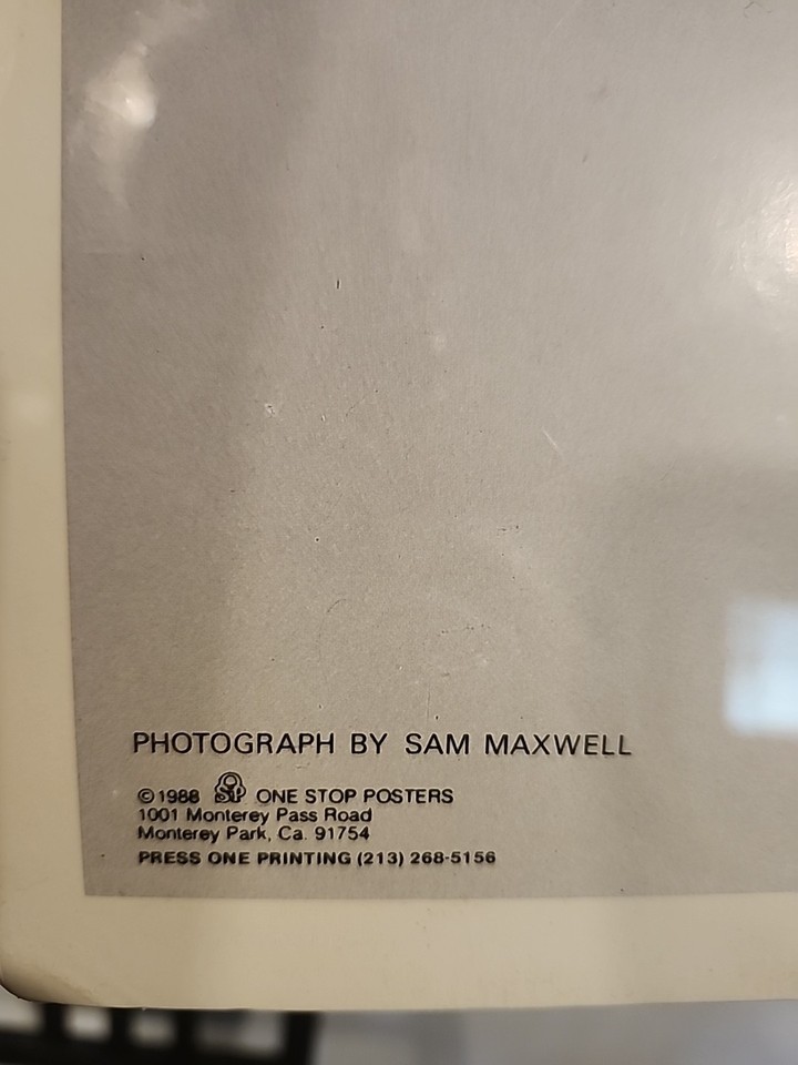 Vintage original Heavy Metal 1988 Poster 35x24 Sexy Blonde Leather ...